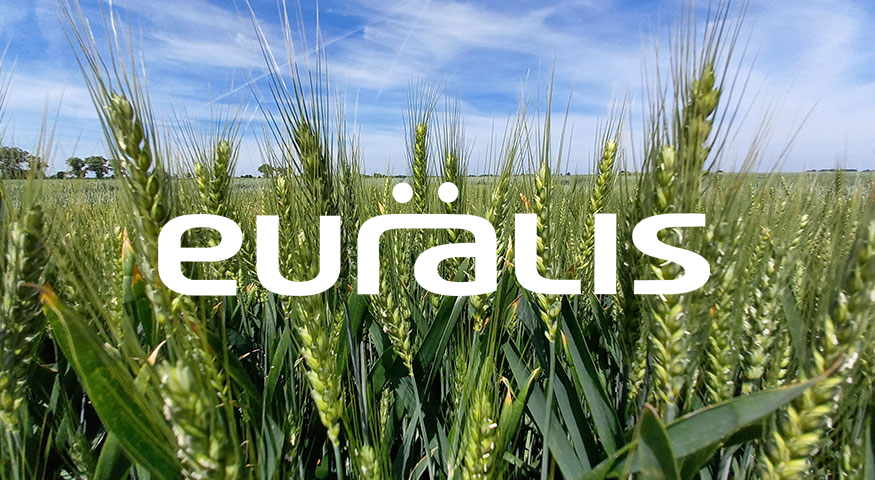 Témoignage client Euralis | Asape
